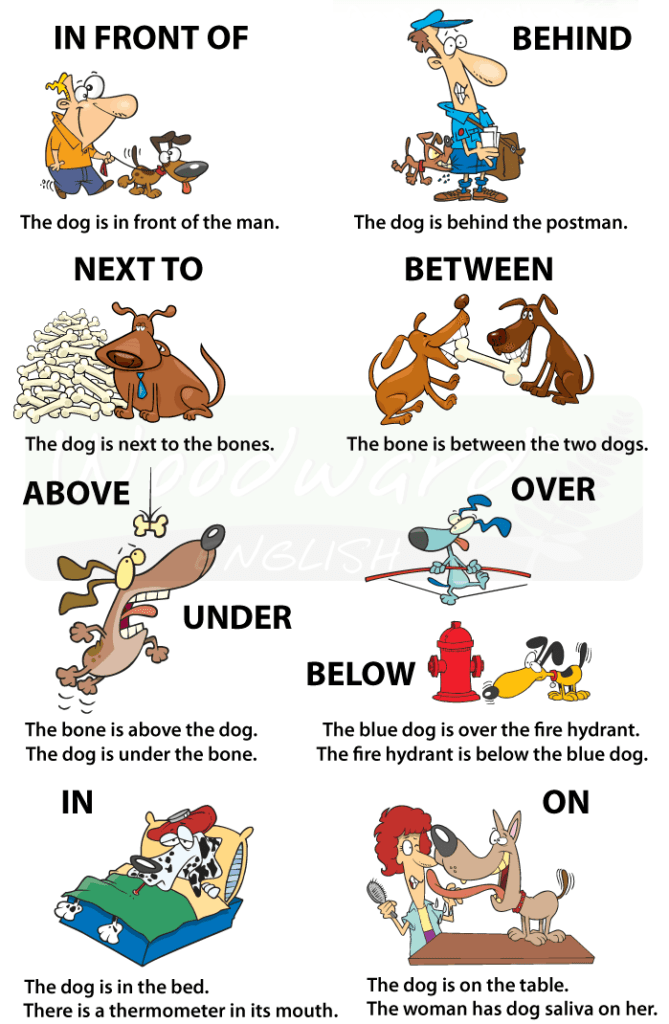 Prepositions of Place | prepositions | English Grammar| English EFL